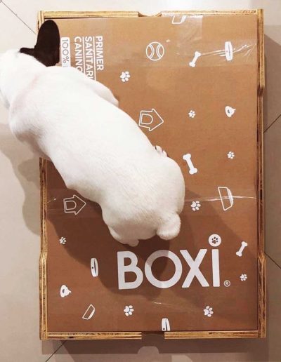 Inicio | BOXI®