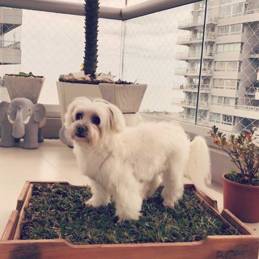 BOXI® GRANDE - Plan Base | BOXI®